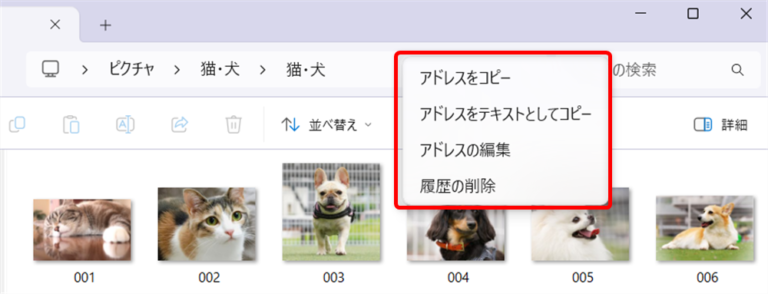 【Windows 11】エクスプローラーのアドレスバーはどこ？ショートカットで表示する方法も